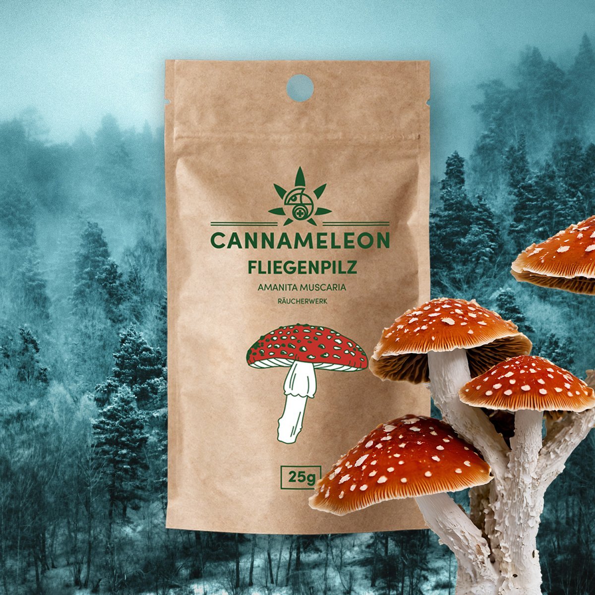 Ethno-Pharmaka kaufen | Natürliche Heilpflanzen & Extrakte